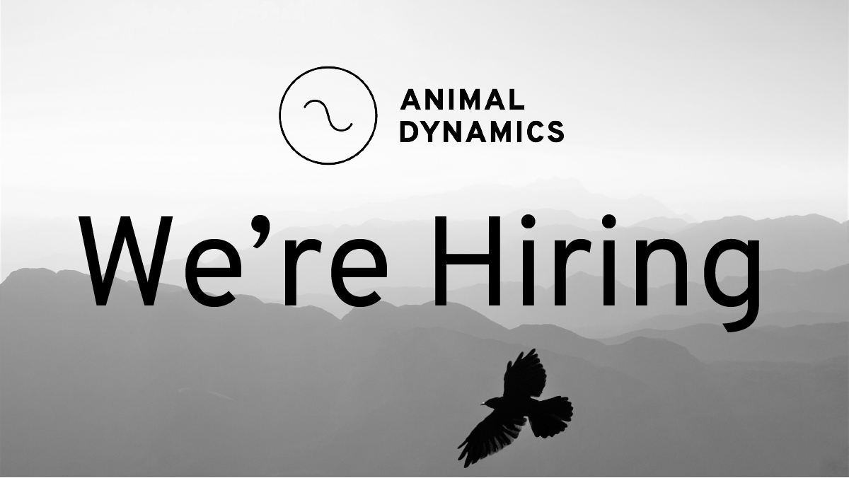 Animal Dynamics Ltd - Current Openings