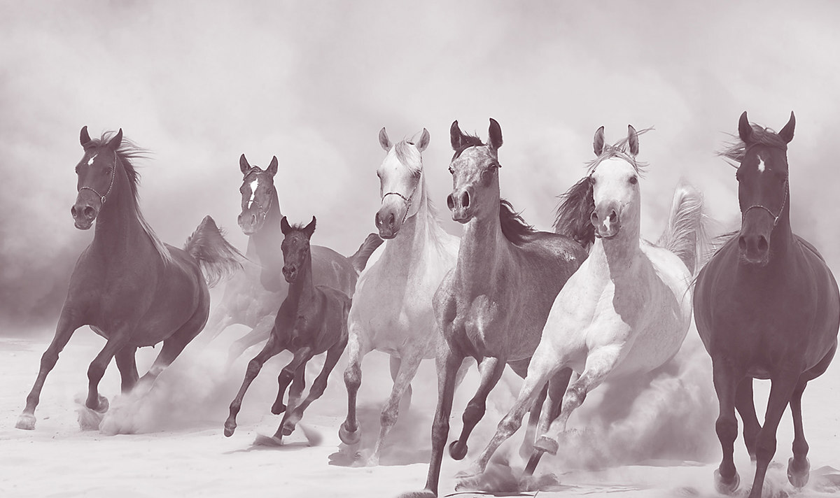 Sr. Landman - Aethon Energy