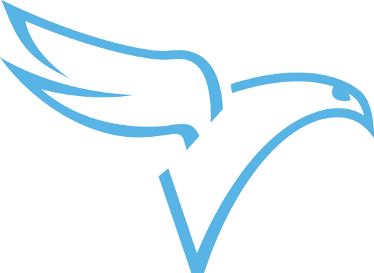 Pereview Software - Current Openings
