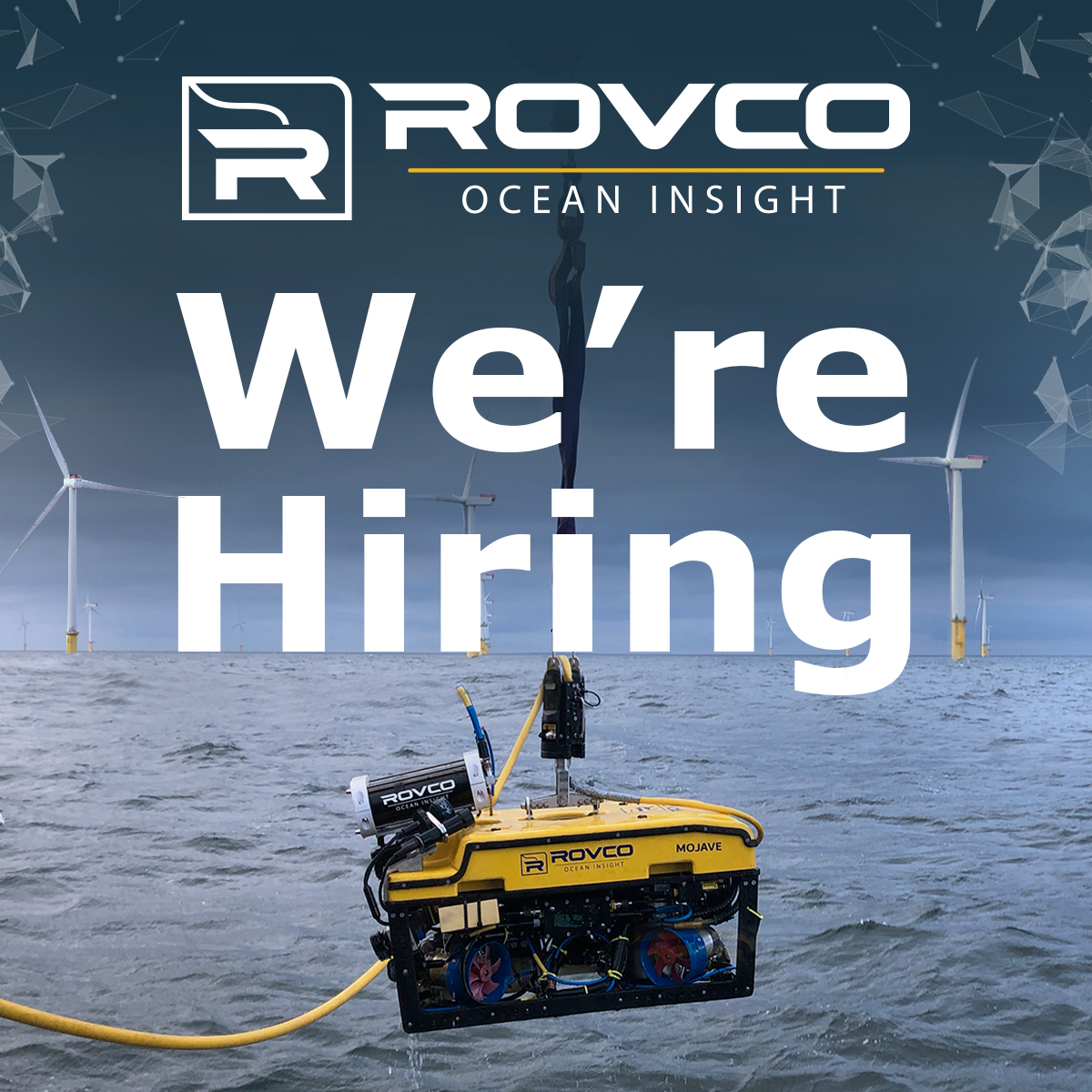 Rovco - Current Openings
