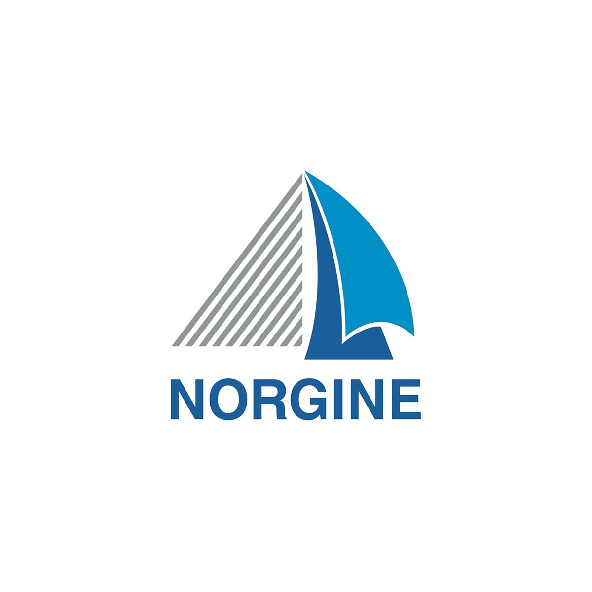 Technical Support Officer 12 months FTC - Norgine