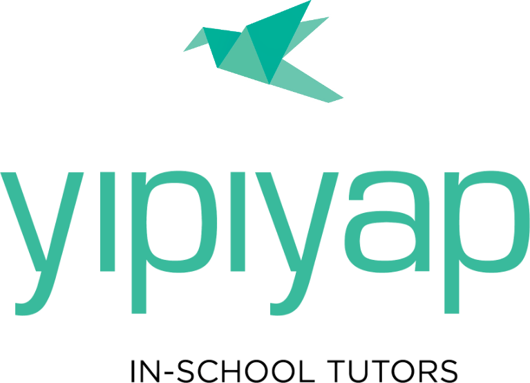 Yipiyap Ltd - Current Openings