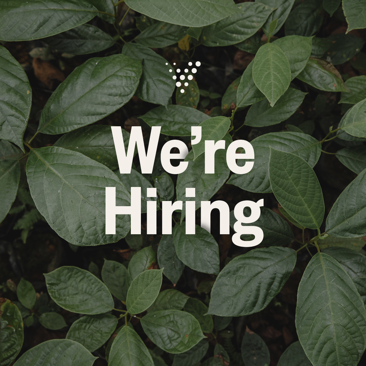 veritree | Jobs By Workable