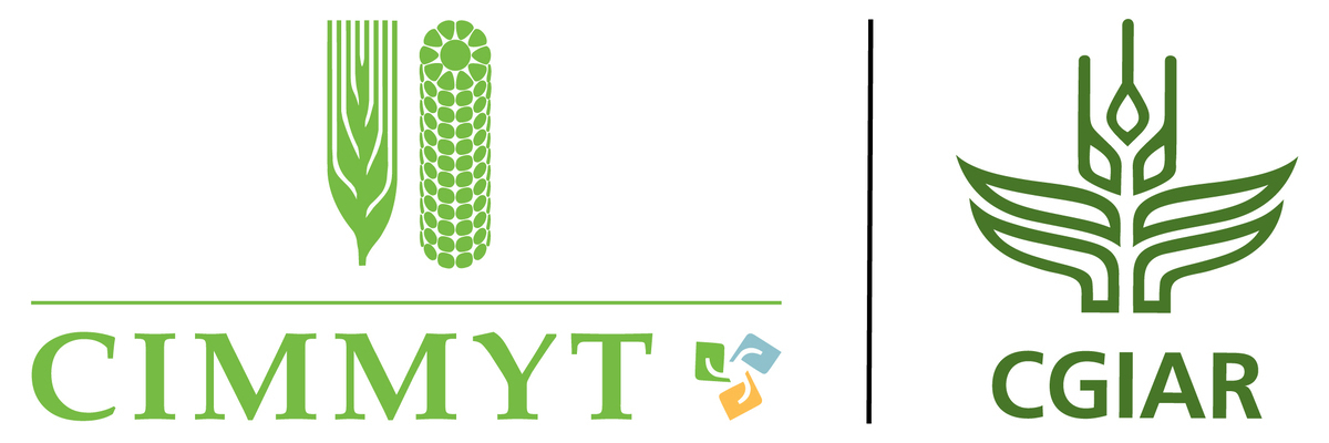 M25152 Técnico(a) en Mantenimiento (Servicios Generales) | CIMMYT | Jobs By Workable