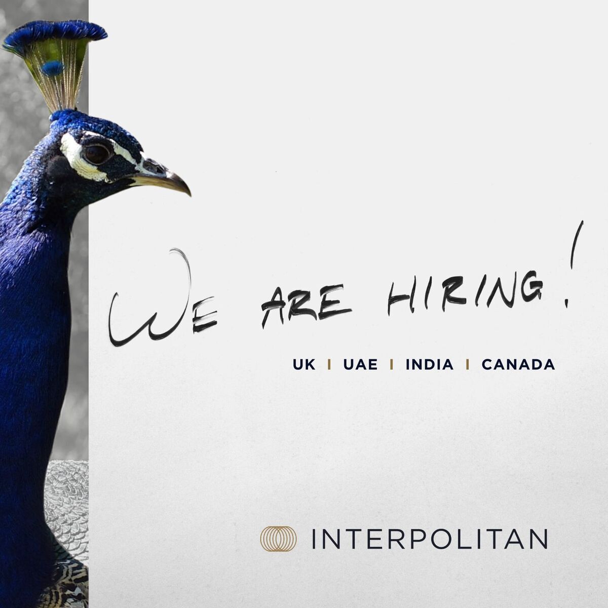 Head of Country, Malta | Interpolitan Money | Jobs By Workable