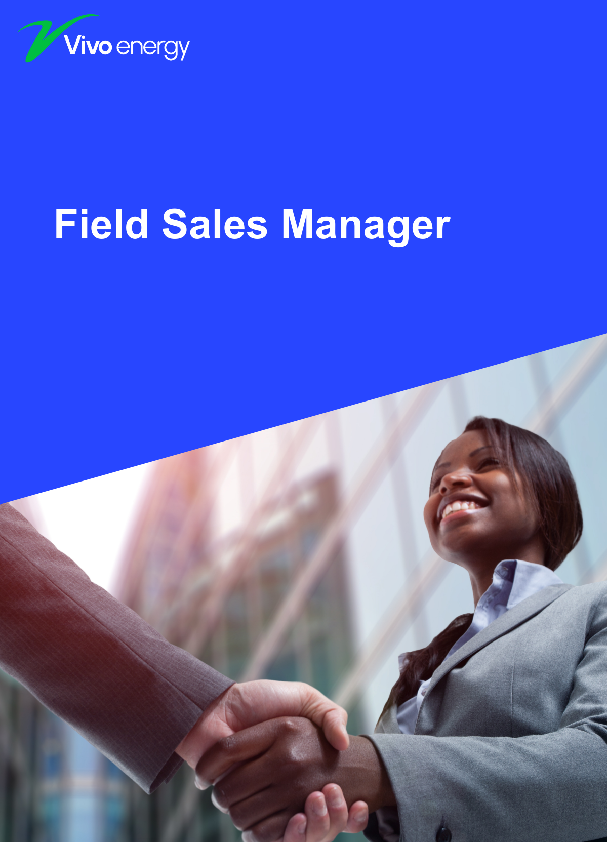 Field Sales Manager - Vivo Energy