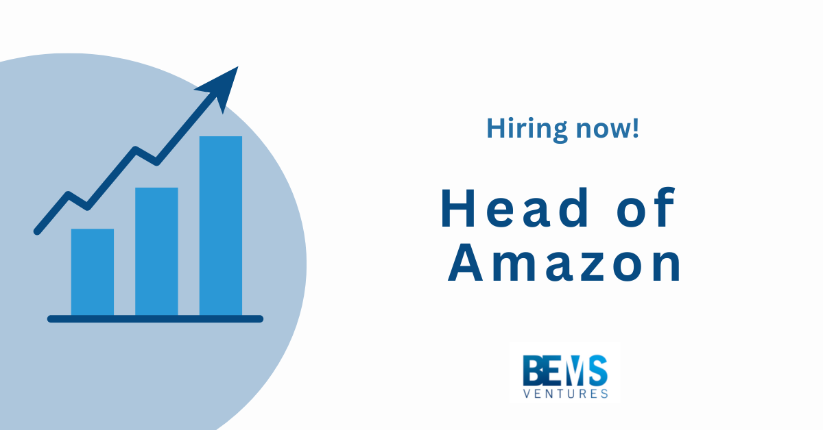 BEMS Ventures GmbH - Head of Amazon at Jobrack